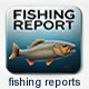 Jungle Perch Guide - Australian Native Jungle Perch Fishing